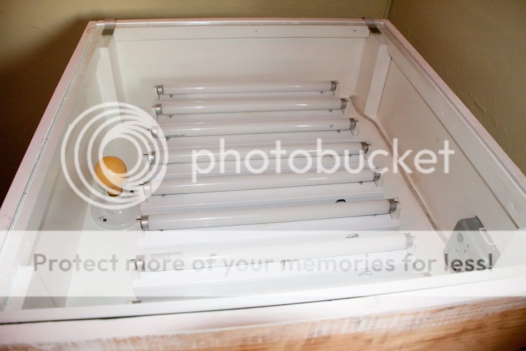 Diy Exposure Unit Screen Printing Plans at Patrick Lakes blog