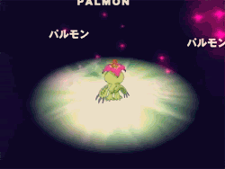 Needle and A Cacti : r/WTF